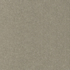Champagne Metallic-520 - SMI Standing Seam Metal Roof & Wall Products