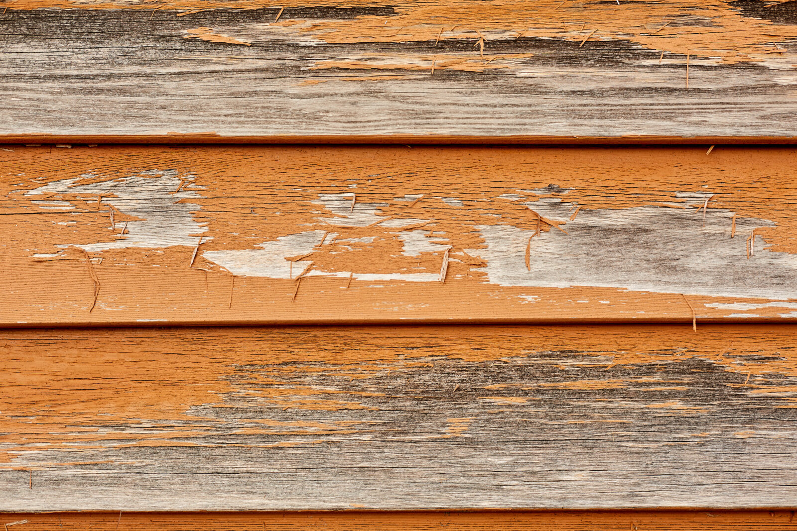 Thinking About Using Real Wood Siding? Know These 7 Common Problems ...